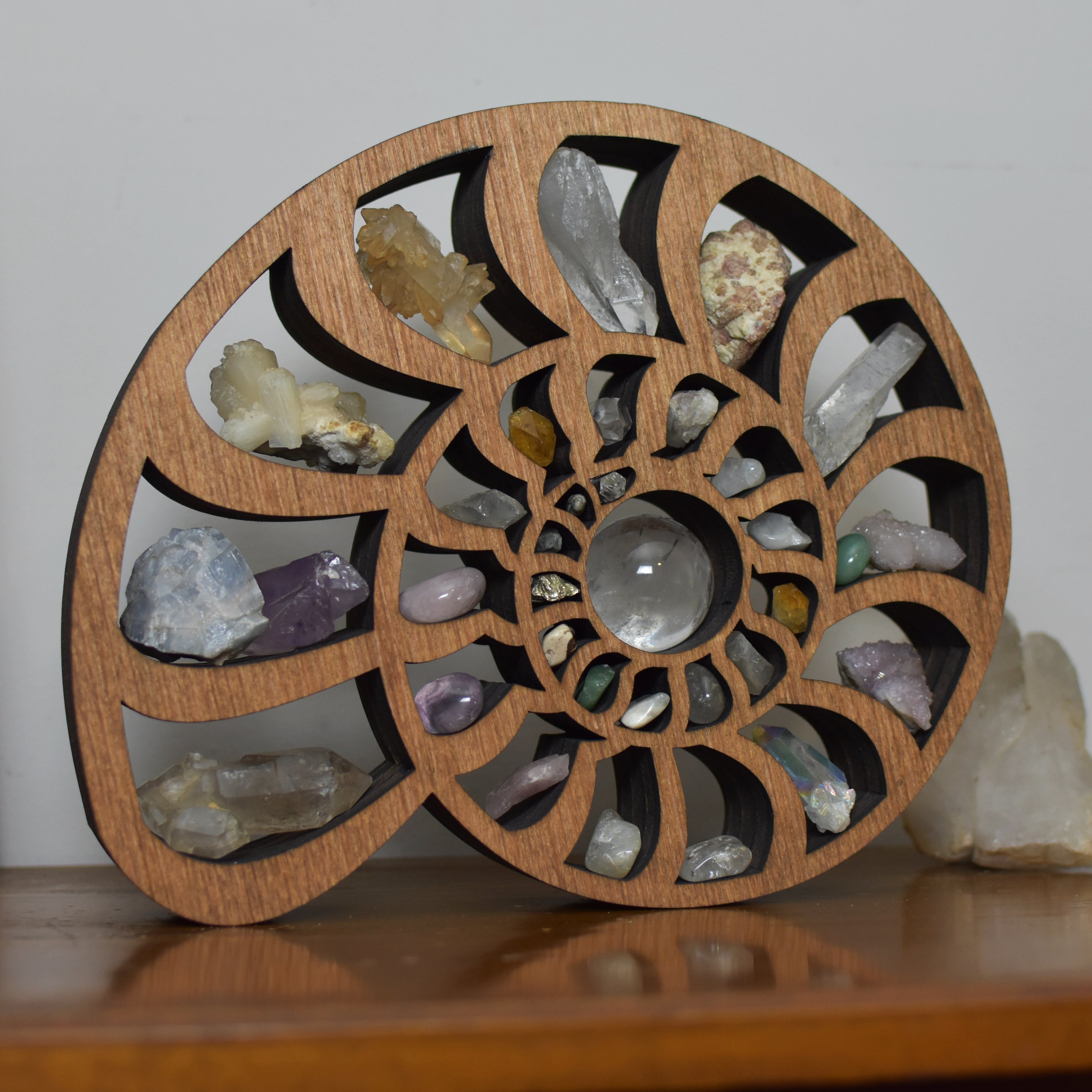 Ammonite Backless Crystal Shelf — J DREW Fabrication & Design