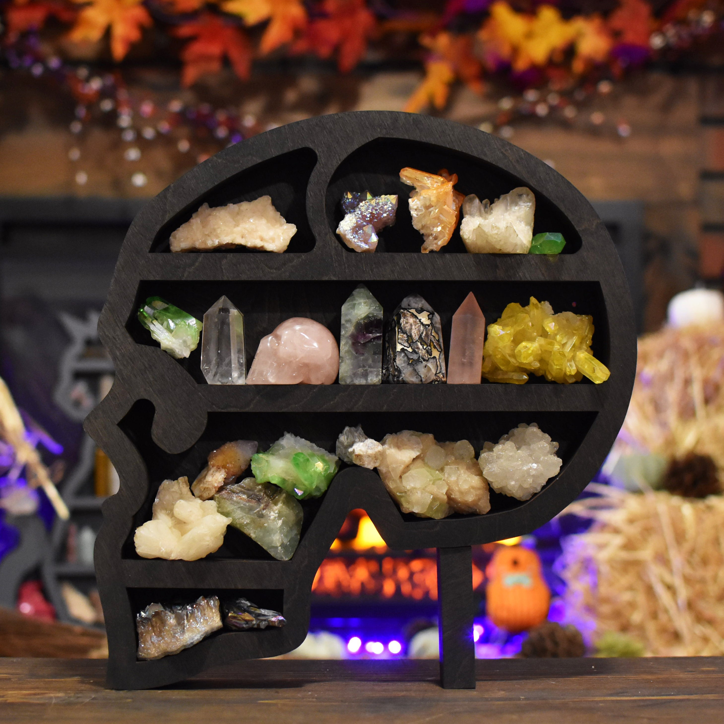 *Made To Order* Brown Skull-Shaped Crystal Display Shelf — J DREW ...